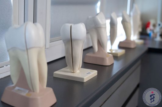 Technik dentystyczny - Medyczna Szkoła Policealna